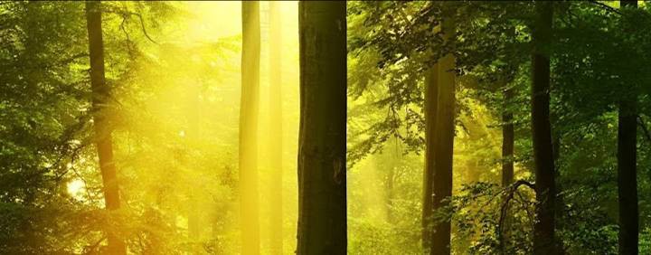 А-паркет интересный магазин напольных покрытий