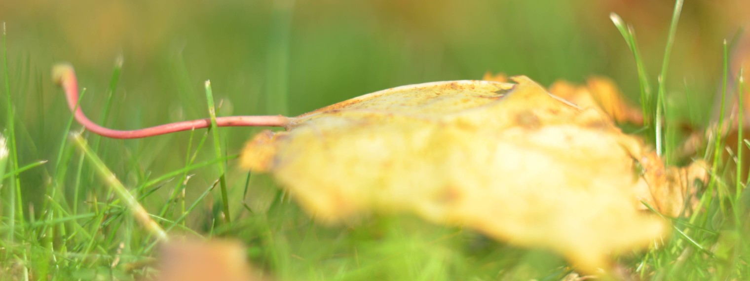 Канал Василия Соболева