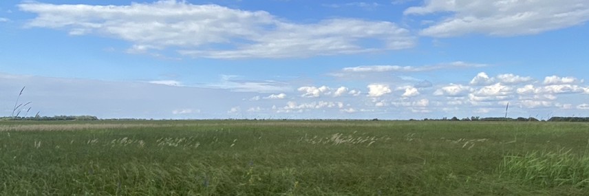 Степаныч