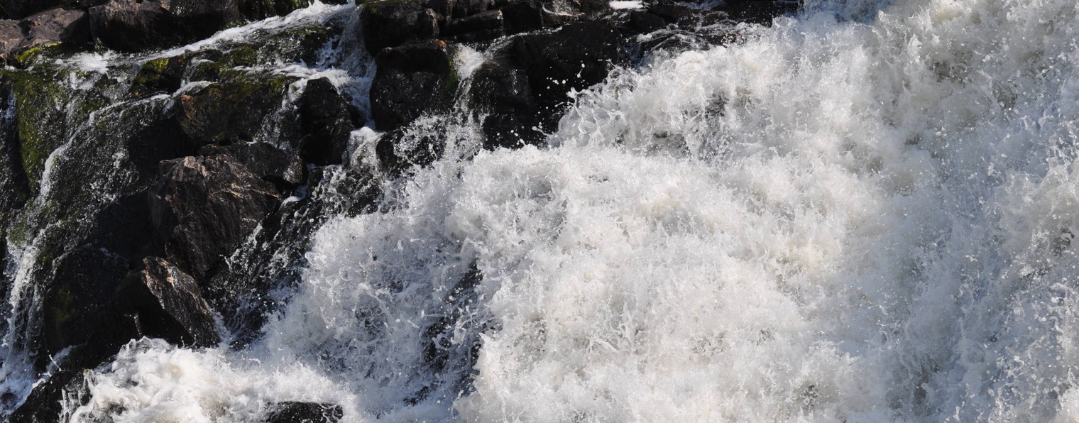 Сезонное Хобби.