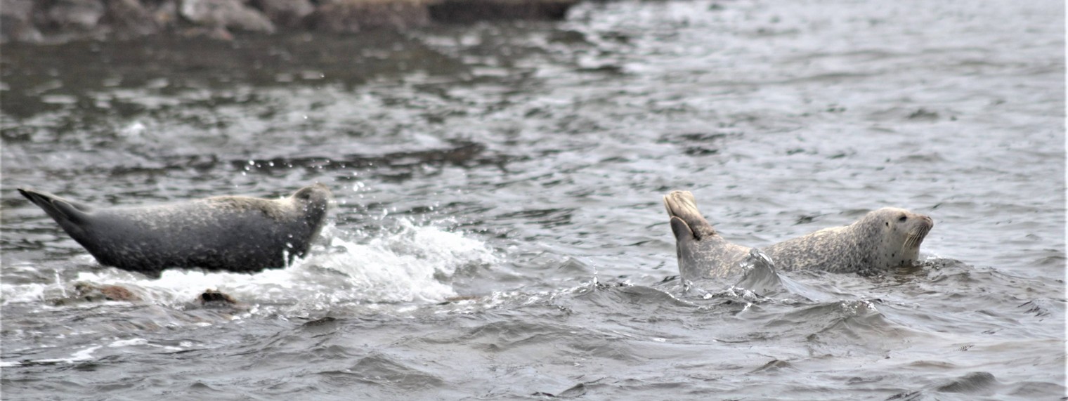 Прадед Витёк