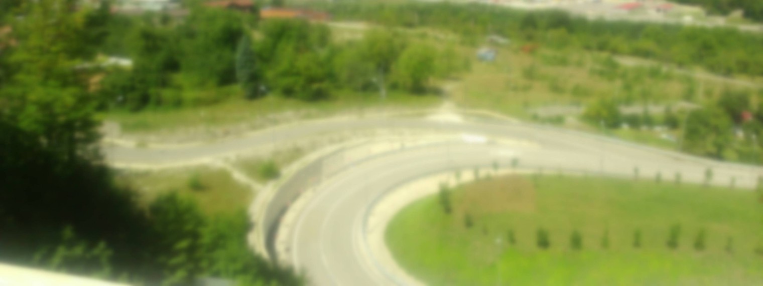 СЕРПАНТИН ЖИЗНИ