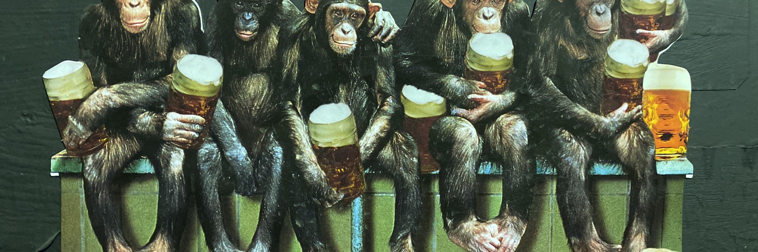 Карен чивапчипчи