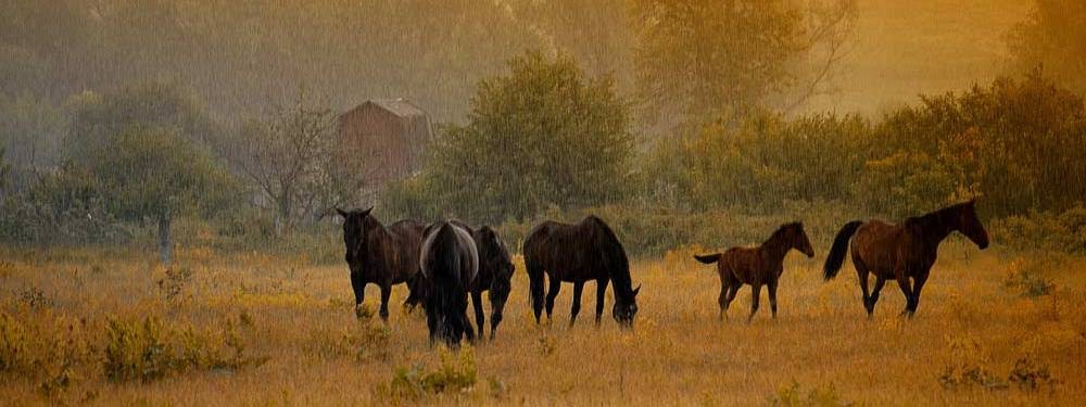 Фотостудия "ПАРАДОКС"