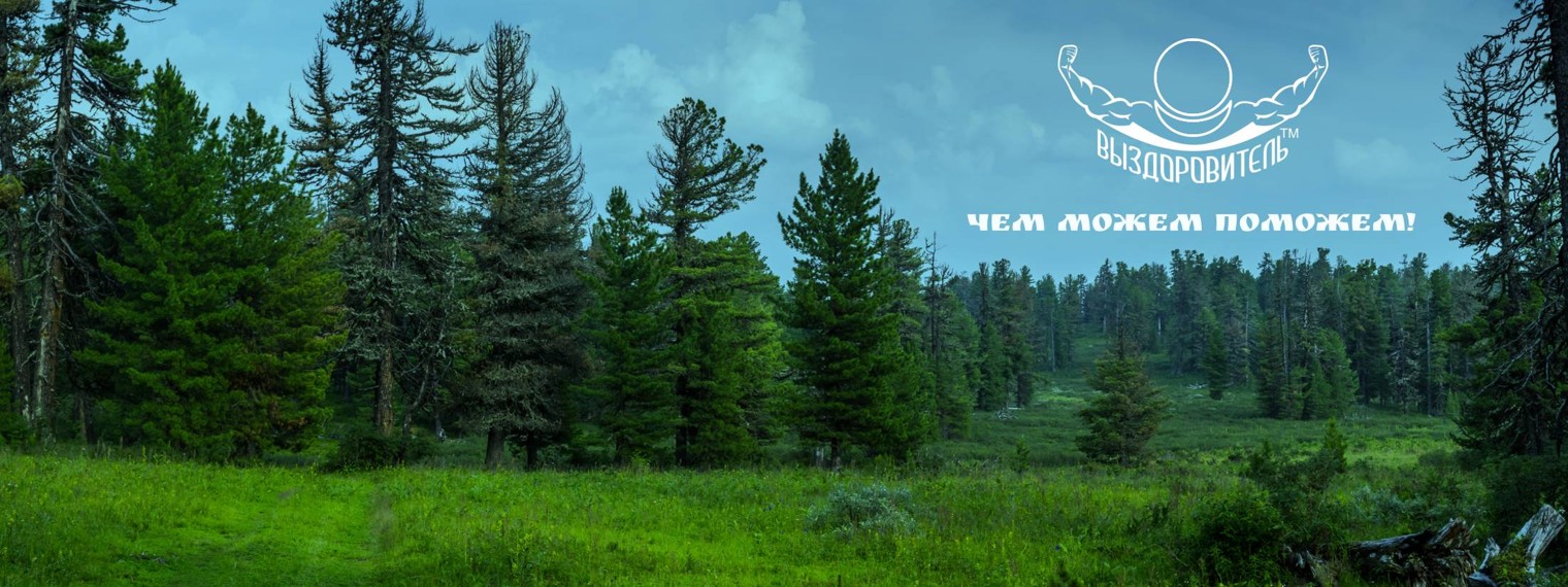 Выздоровитель