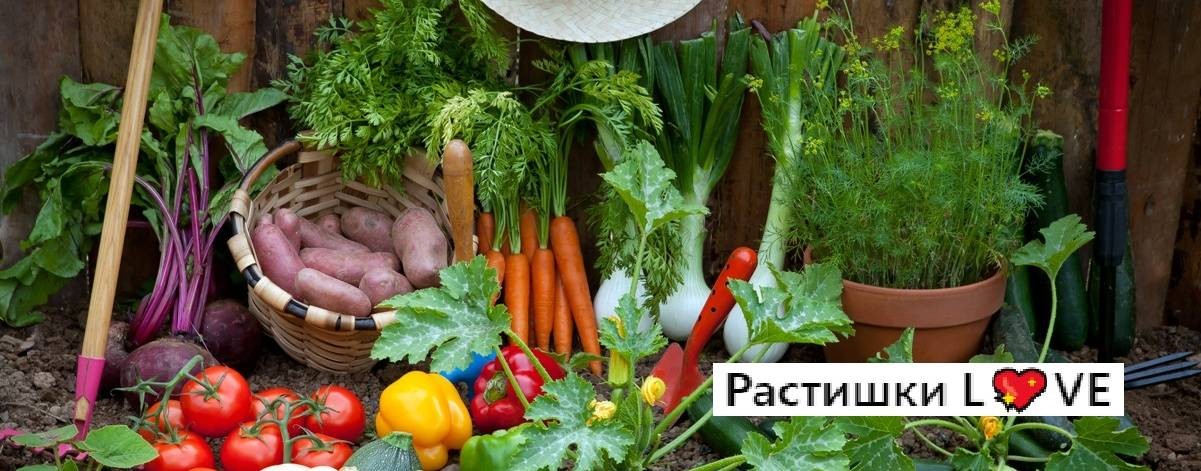 Растишки L?VE