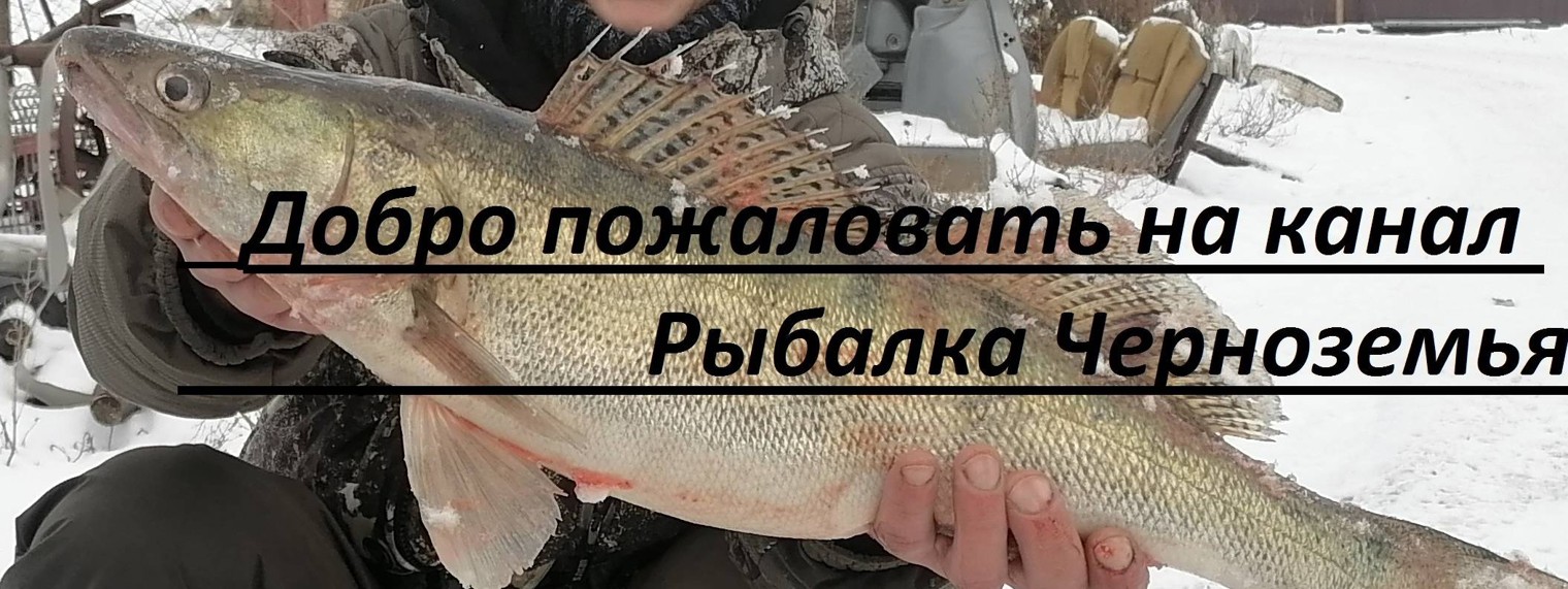 Рыбалка Черноземья