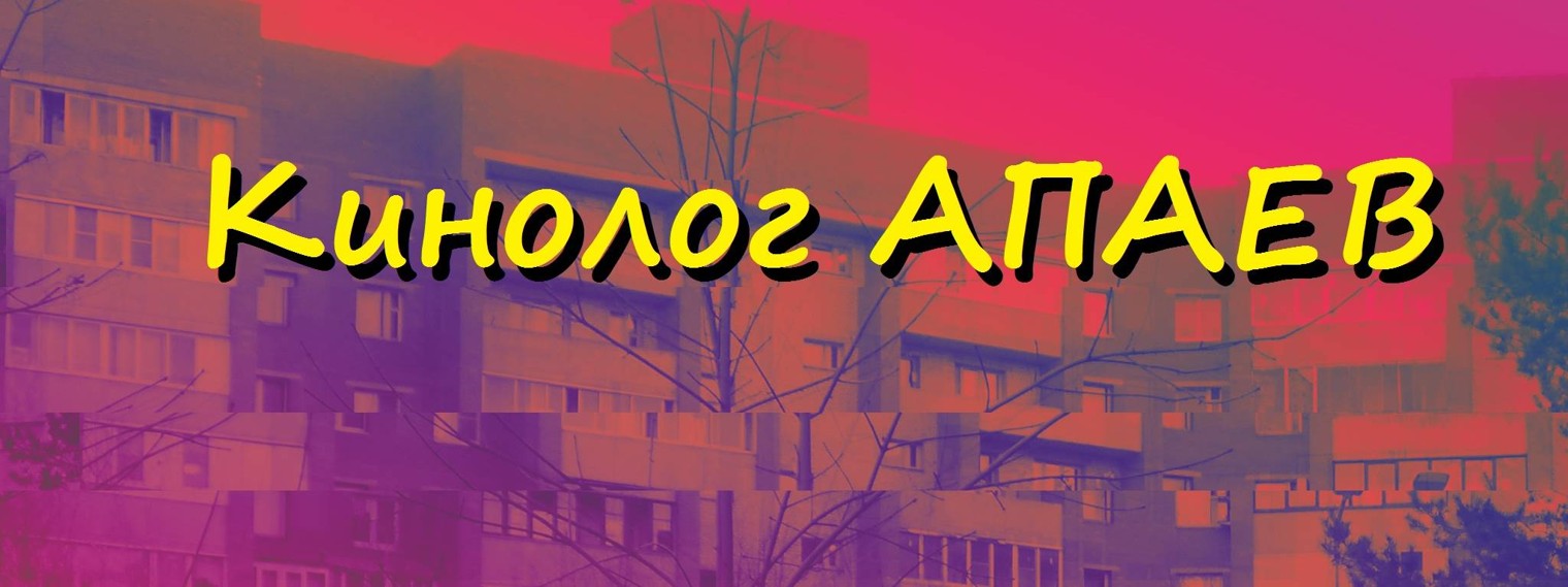 Кинолог АПАЕВ