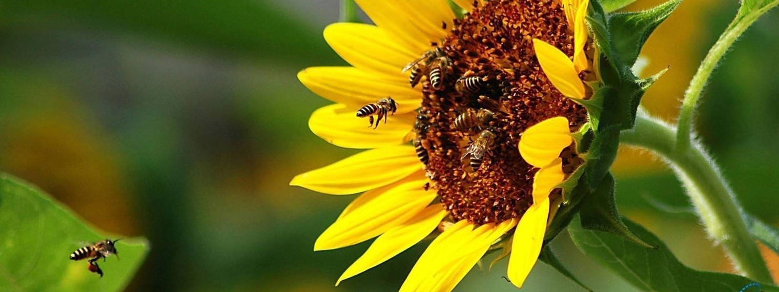 Евгений Мохначев