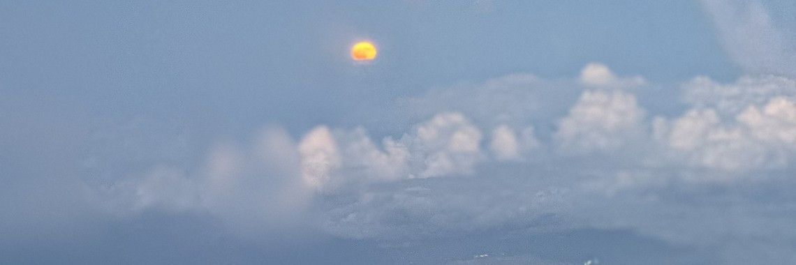 Алхилова Жасмина