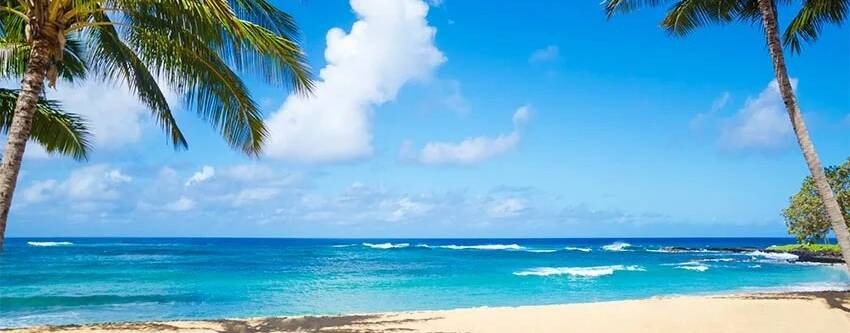 25 снеговиков