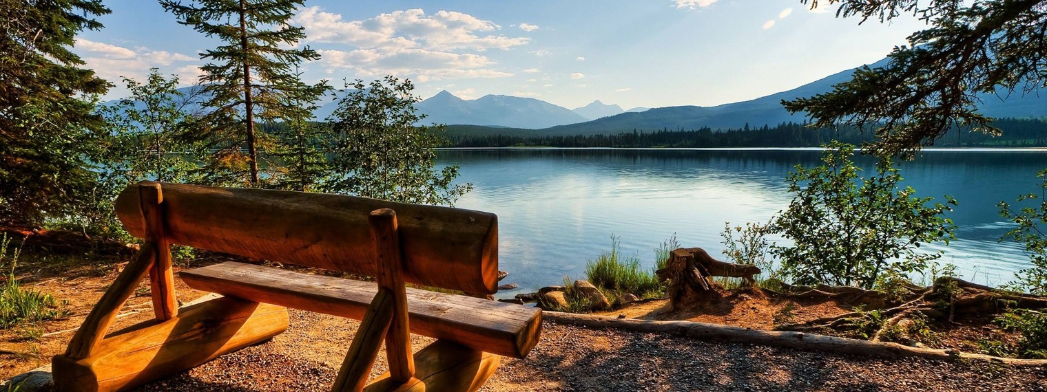 Звуки Природы ✦ Relax ✦ Пение Птиц