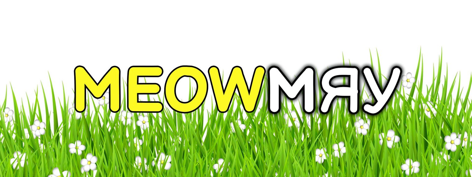 MEOWмяу