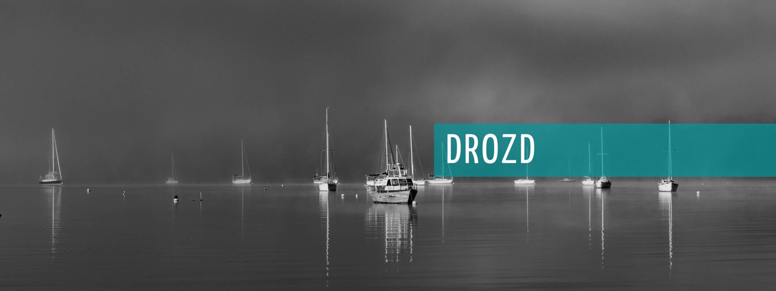 DROZD
