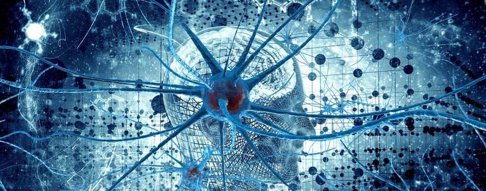 Институт Прикладной Нейропсихологии