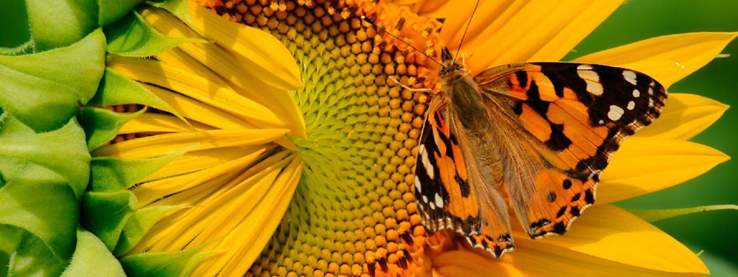 Всё хорошо!