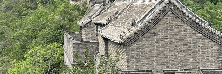 Бородатый блог