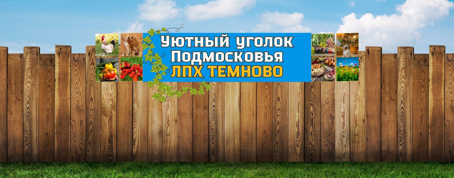 Уютный уголок Подмосковья