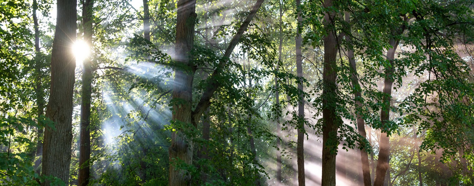 точка опоры с Ириной Прошутинской