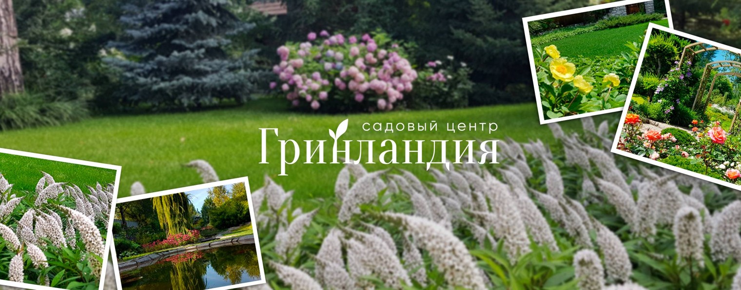 Гринландия питомник растений