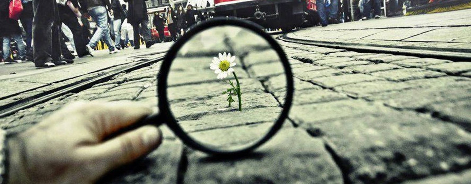 Что продается в г Тюмень