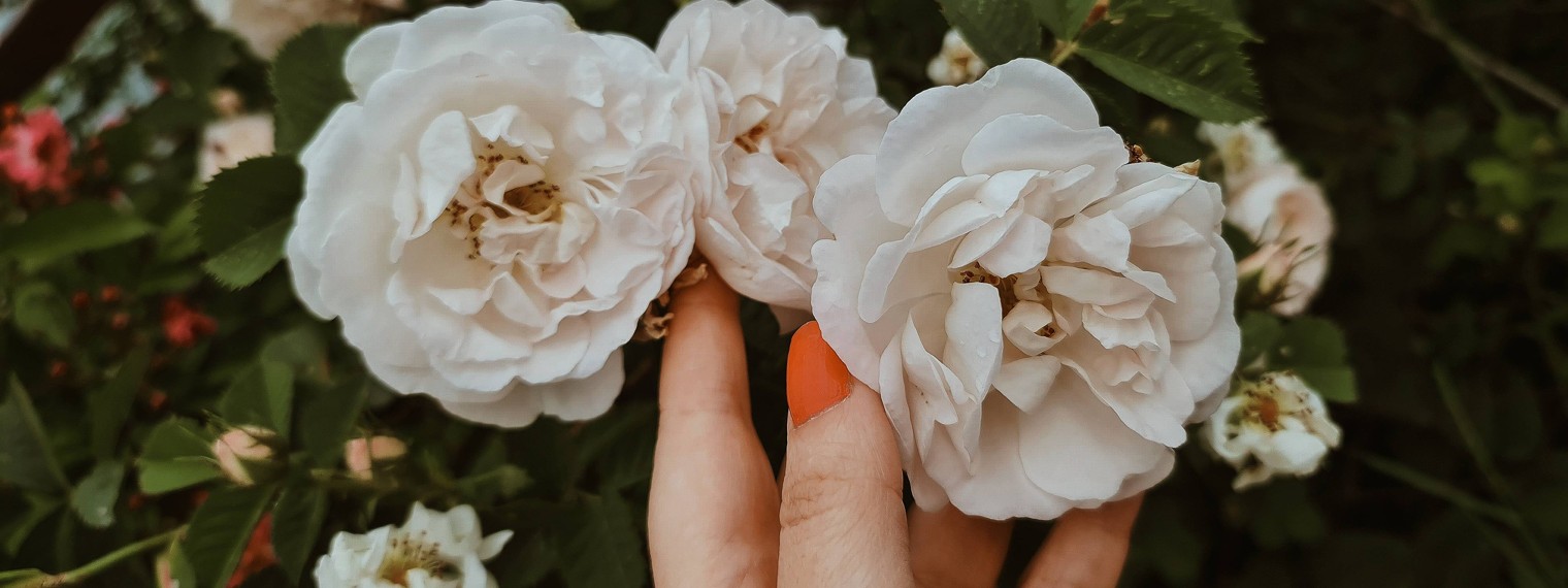 Дача Художницы 🎨