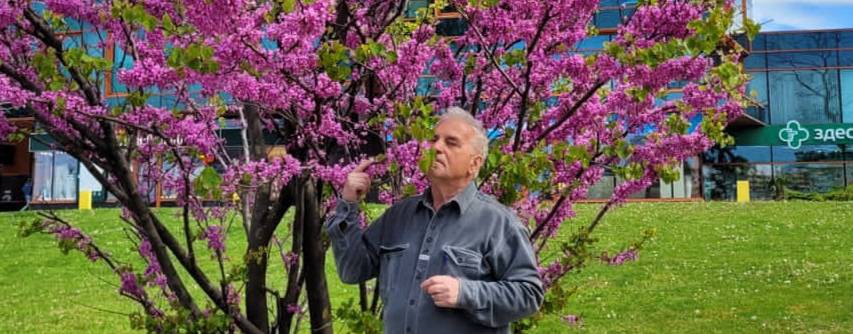 Под объективом