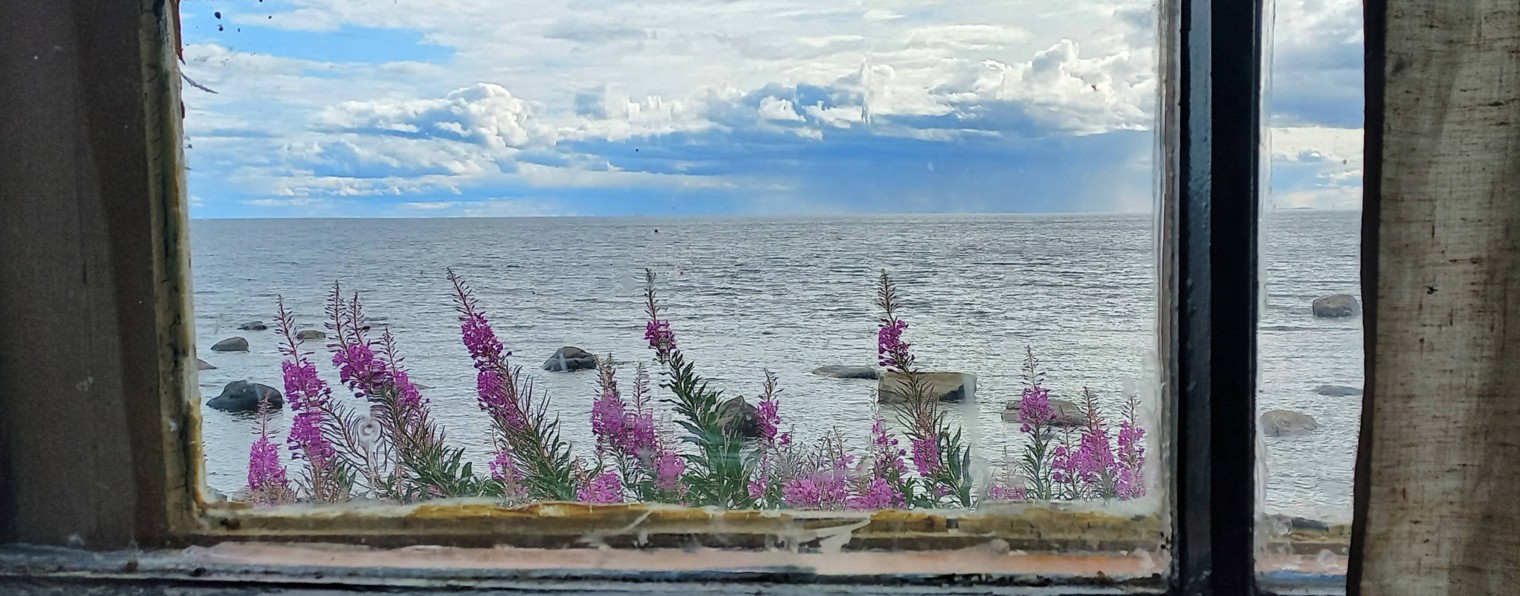 Шурка на севере