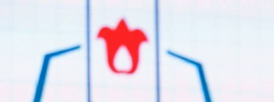 Татарча онлайн мәктәп / Онлайн-школа на татарском