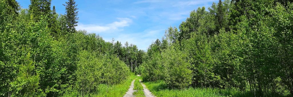 Канал о здоровье с Дмитрием Оленским