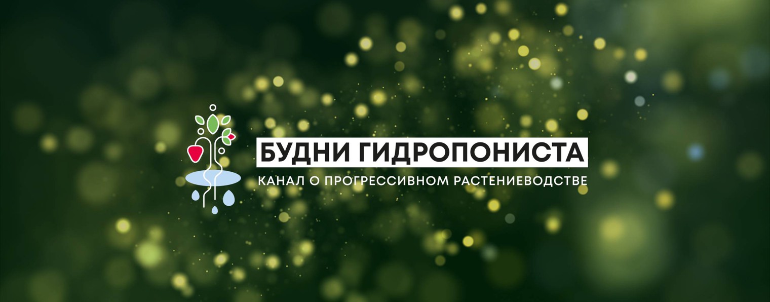 Будни гидропониста
