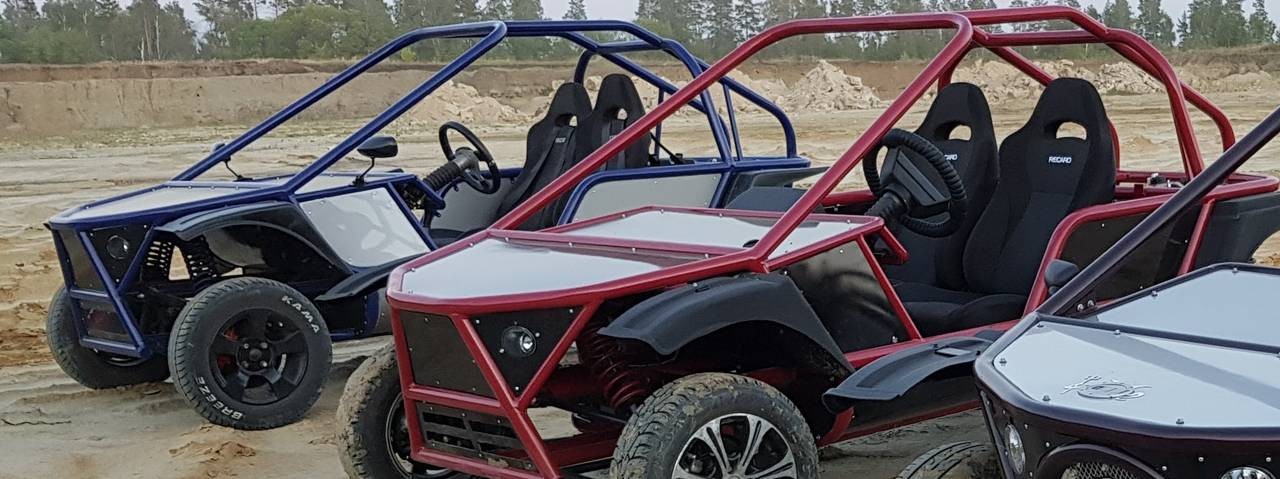 Багги Вираж