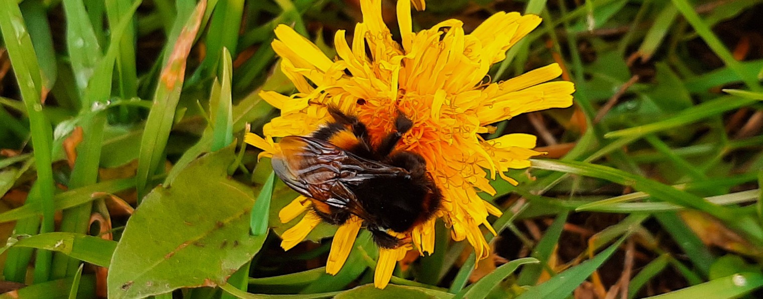 ВКУСНЯШКИ ОТ БАБУШКИ ГАЛИИ