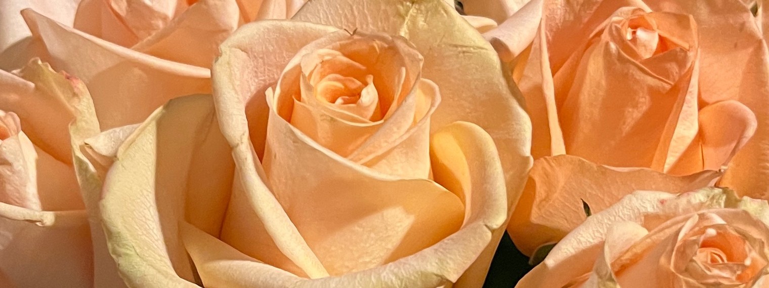 СЧАСТЬЕ ЕСТЬ