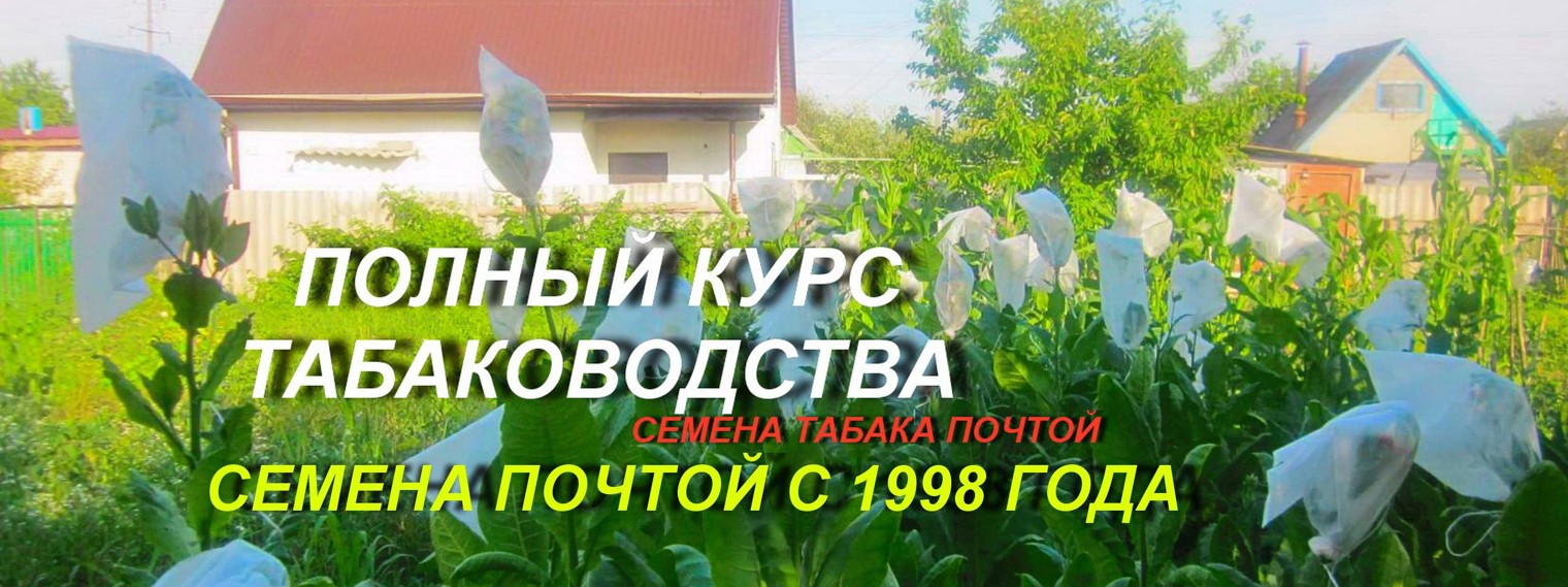 Дневник Табаковода