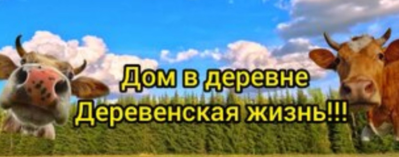 Дом в деревне Деревенская жизнь!!!