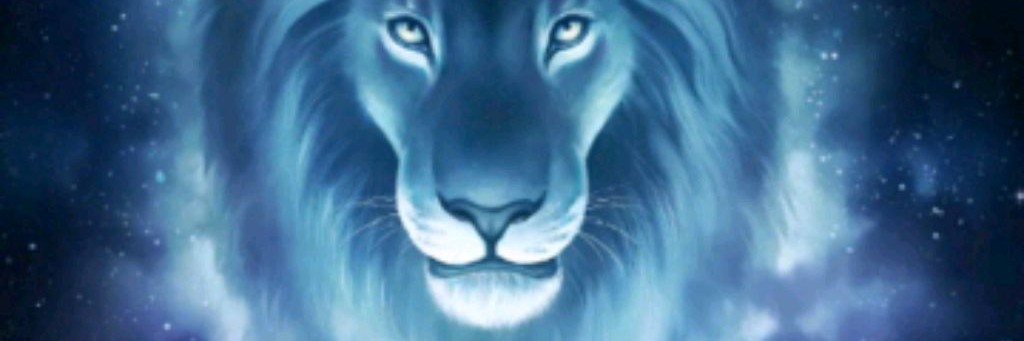 Домик Котят