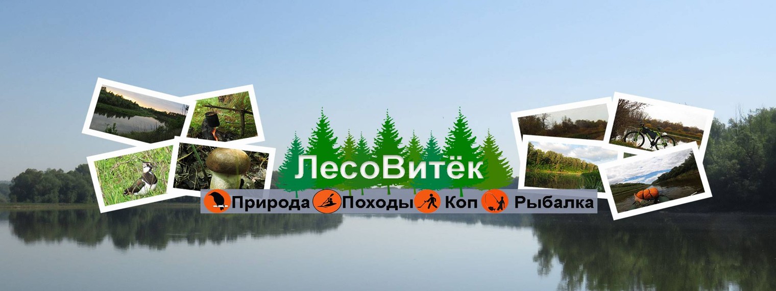 ЛесоВитёк