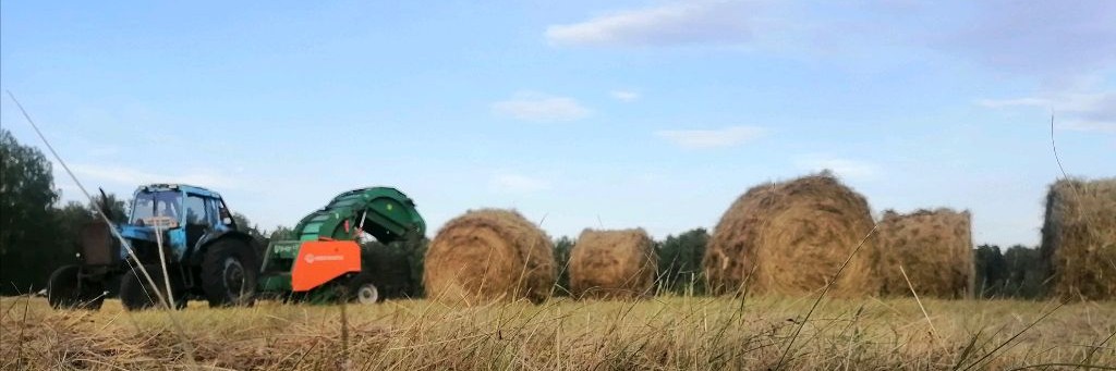 Николай Борисов