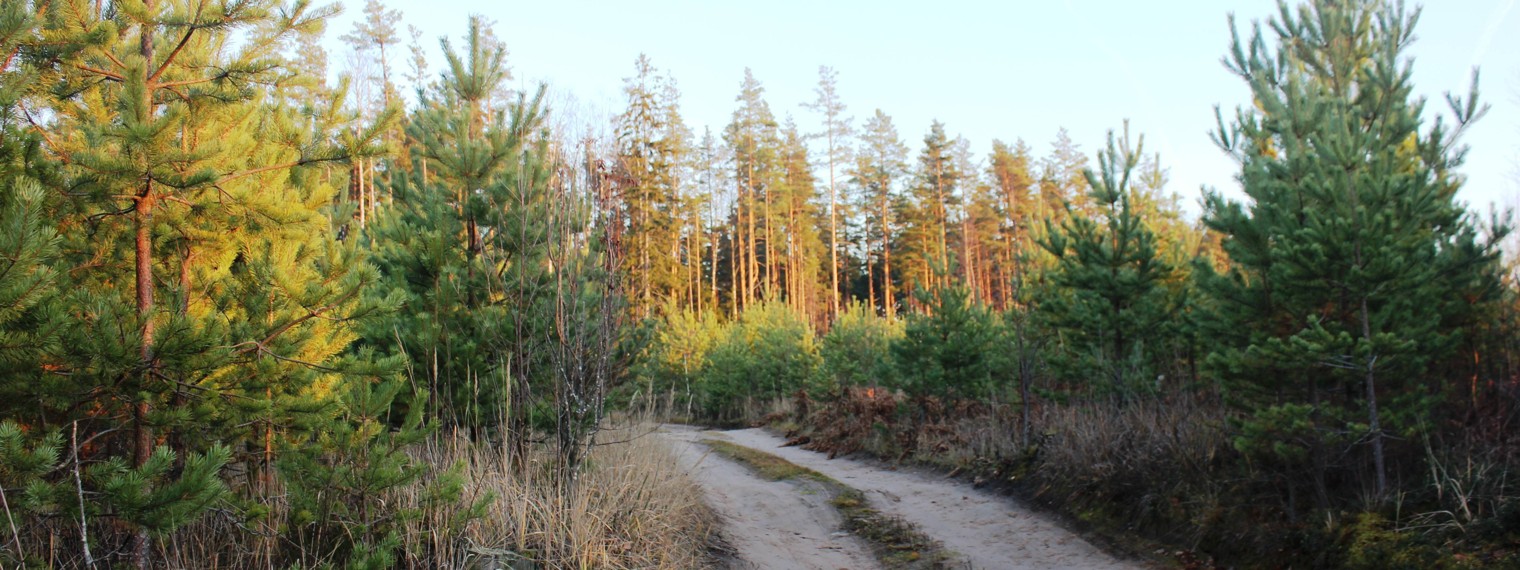 Яга Библиотековна  Бологое. Тверская обл