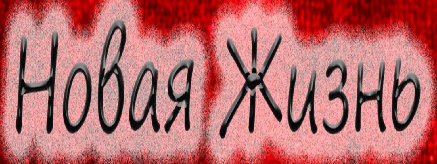 Новая Жизнь