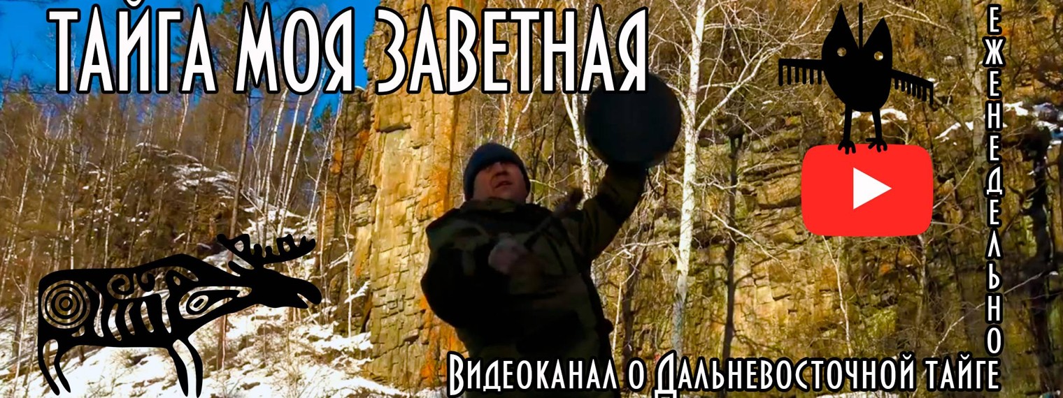 Тайга моя заветная, видео о тайге и таежниках