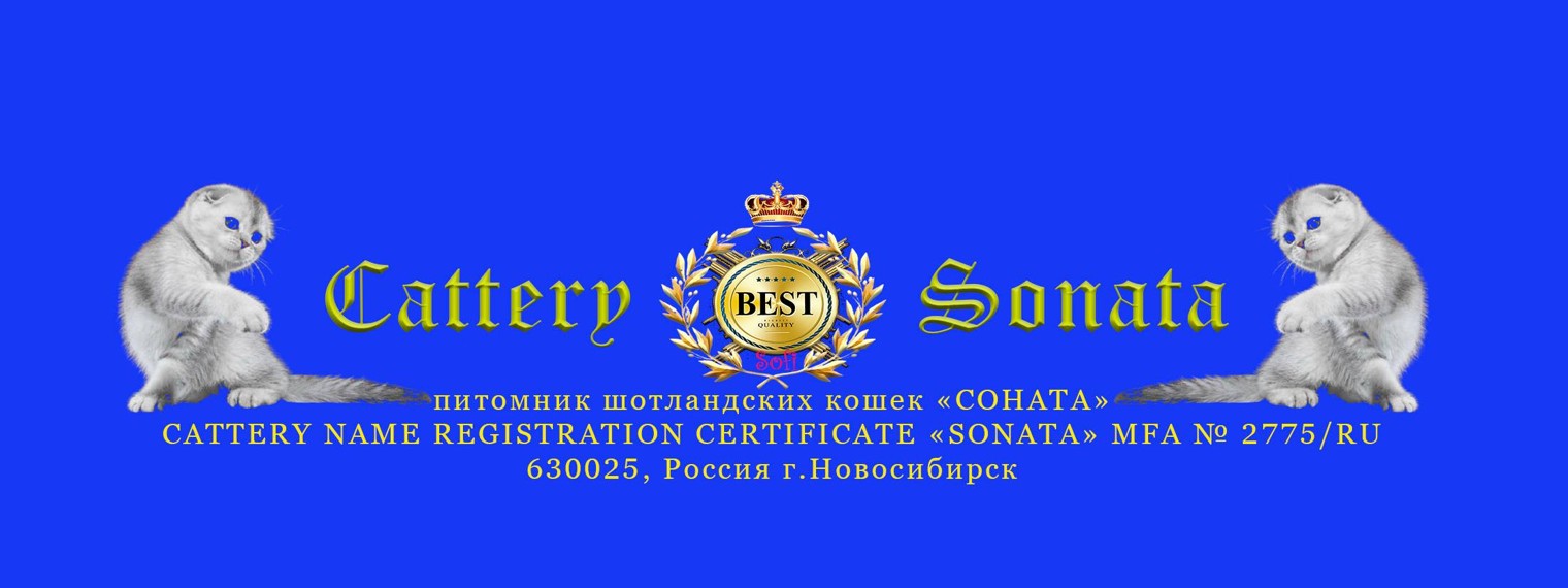Юрий