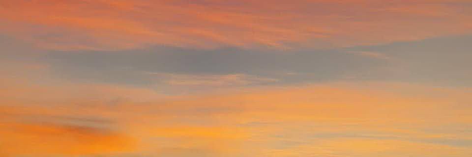 Анна Мирославова