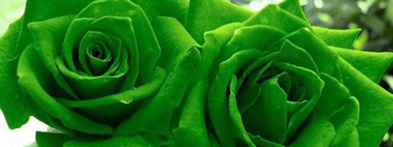 музыкальные открытки