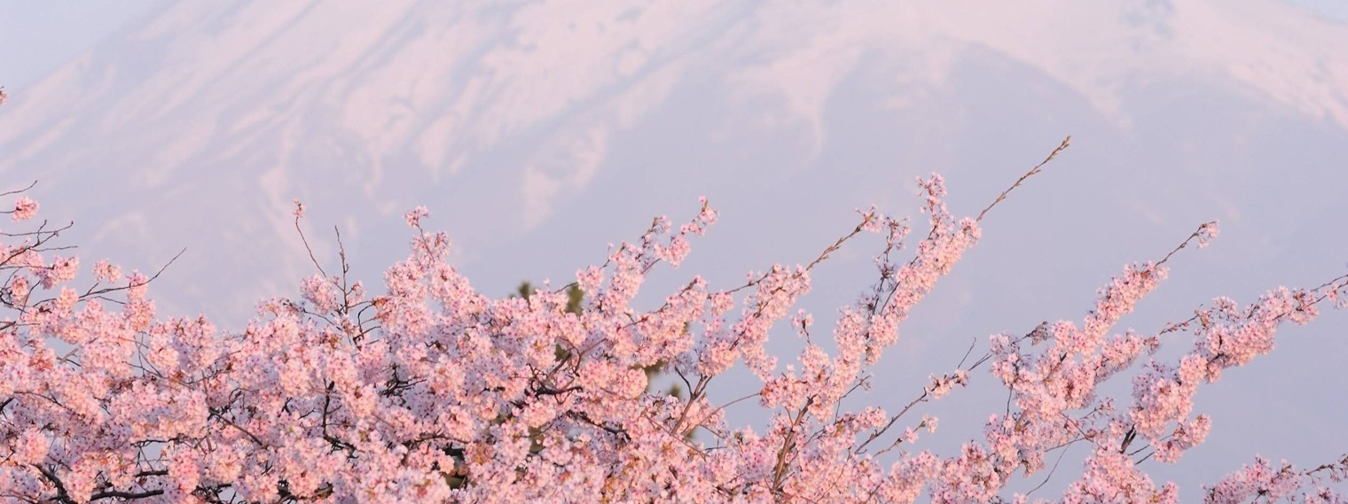 Relax Yoga Марина Яркова