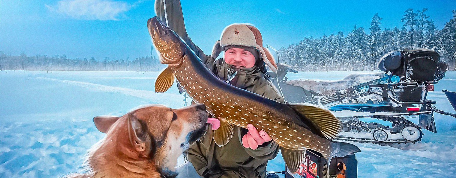 ДрУиД ФеОфАн