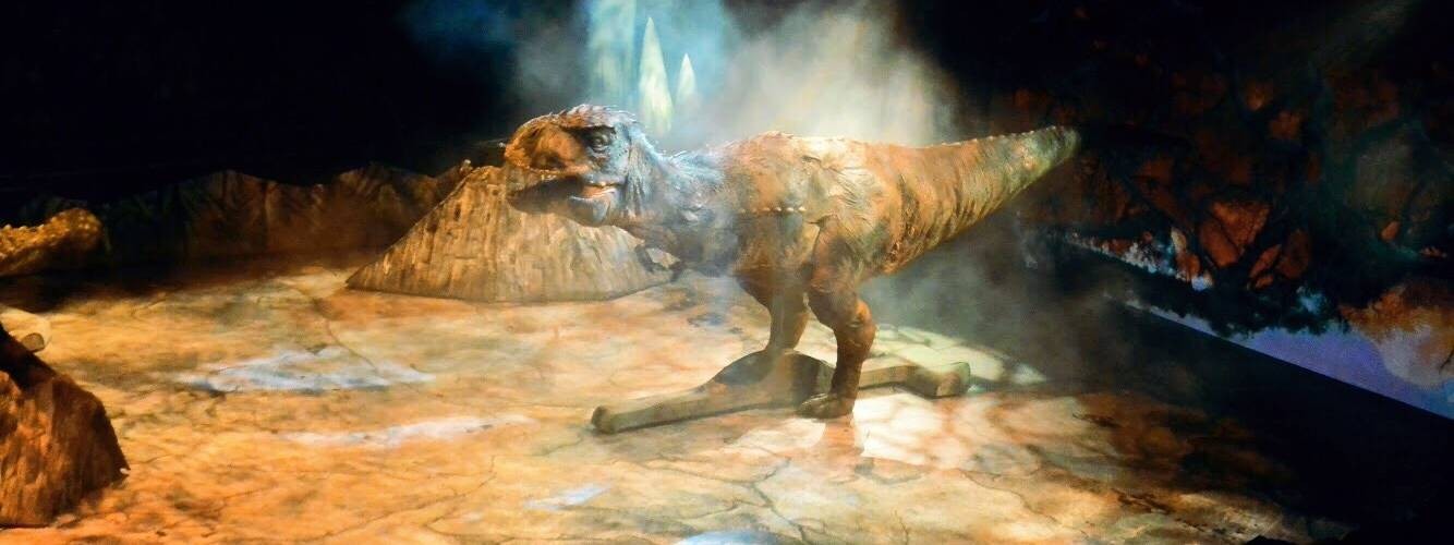 Полезные Обзоры ? Useful Reviews