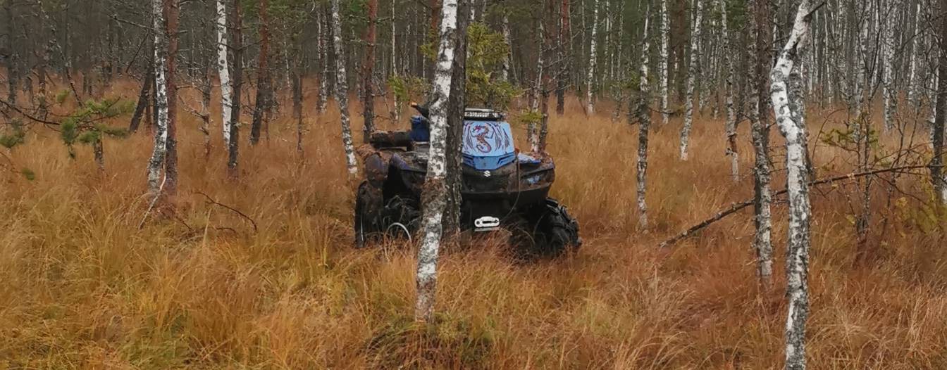 БРАТСКОЕ ДВИЖЕНИЕ