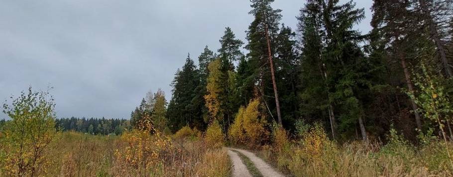 Виктория Соцкова - официальный канал